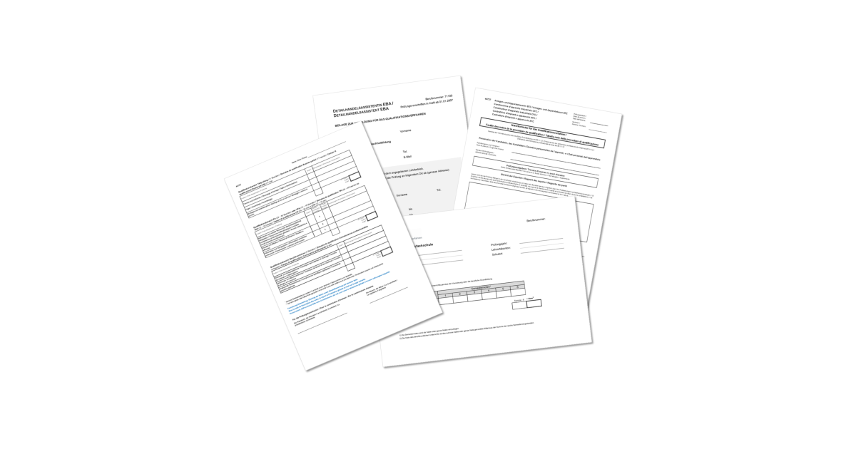 Qualification process | vocationaleducation.ch